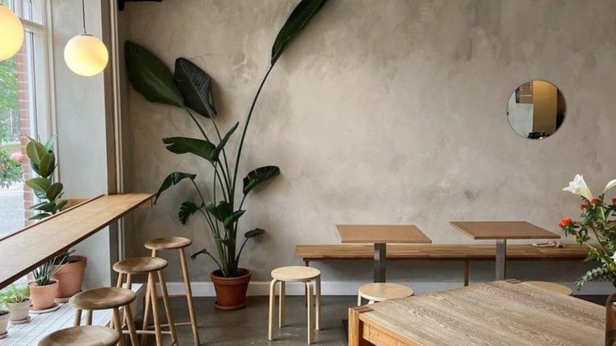 Cafe Interior Design Ideas | Bottomline Studio